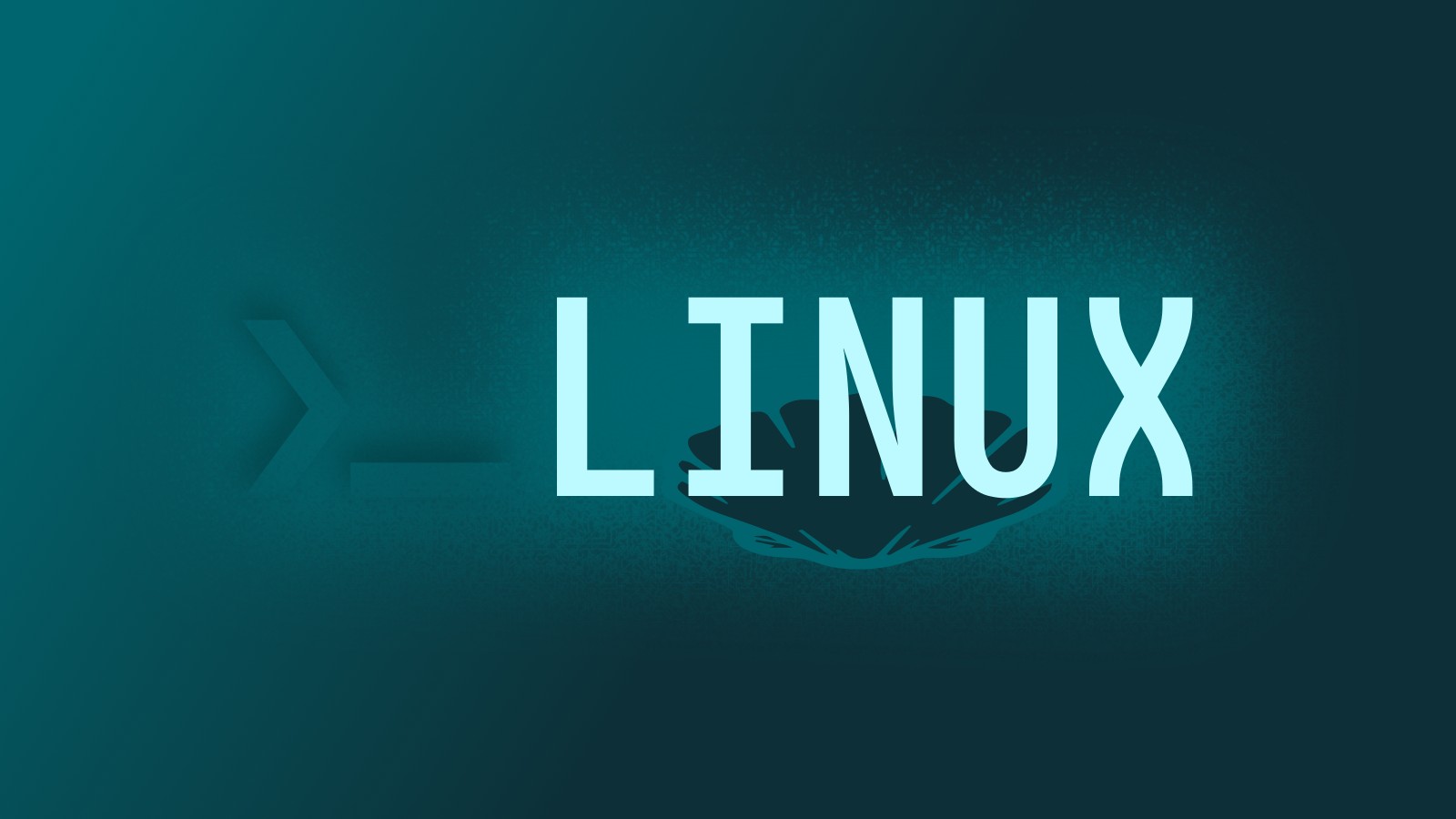 Top 5 Linux Shells You Should Know About