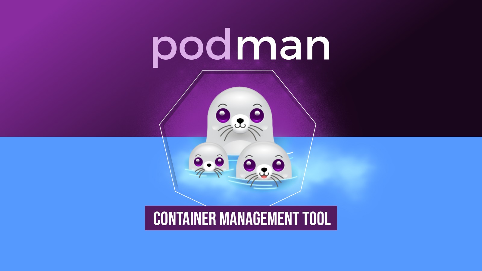 Podman 5.3 Promises an Enhanced Rootless Networking Podman 5.3 Promises an Enhanced Rootless Networking